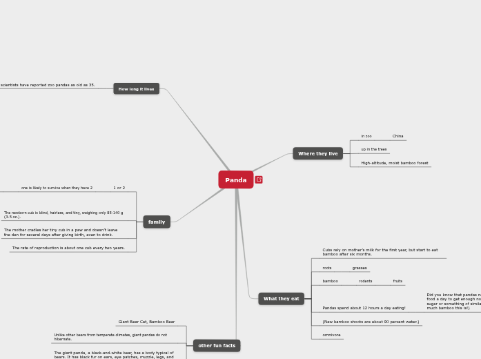 Panda - Mind Map